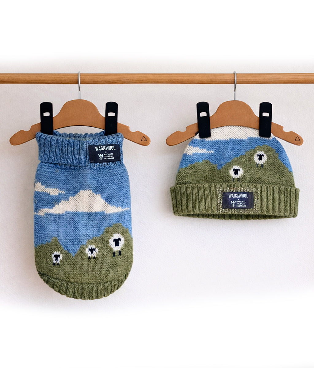 Blackface Sheep Wool Beannie Hat – National Trust for Scotland